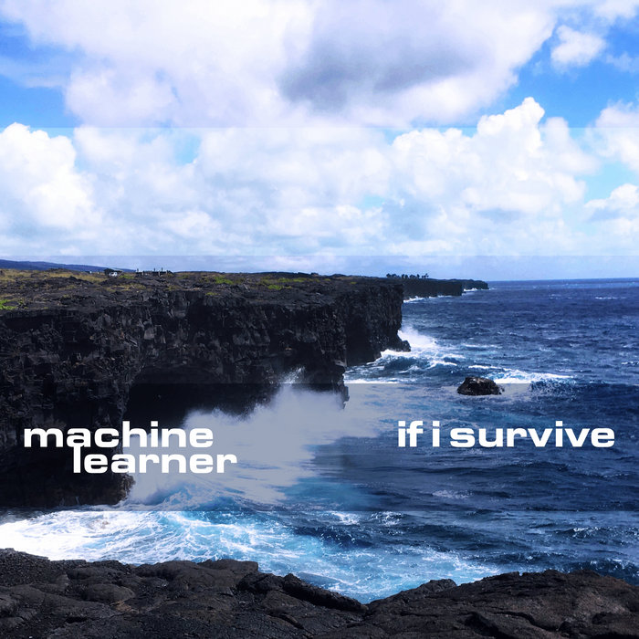 If I Survive | machine learner