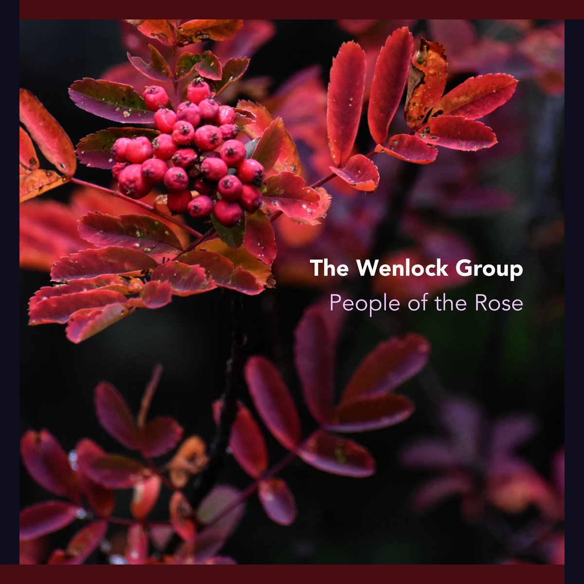 People of the Rose | The Wenlock Group