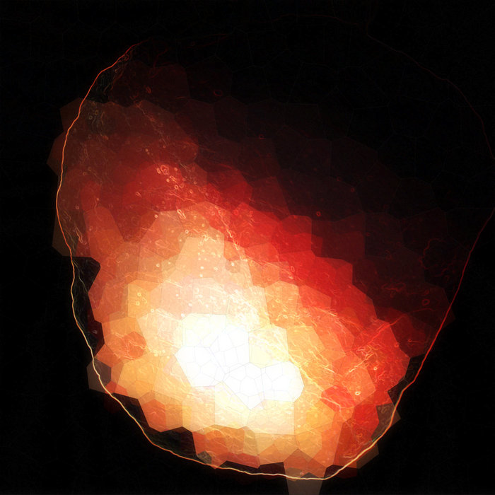 Single Collection | nverxion | David Brancato