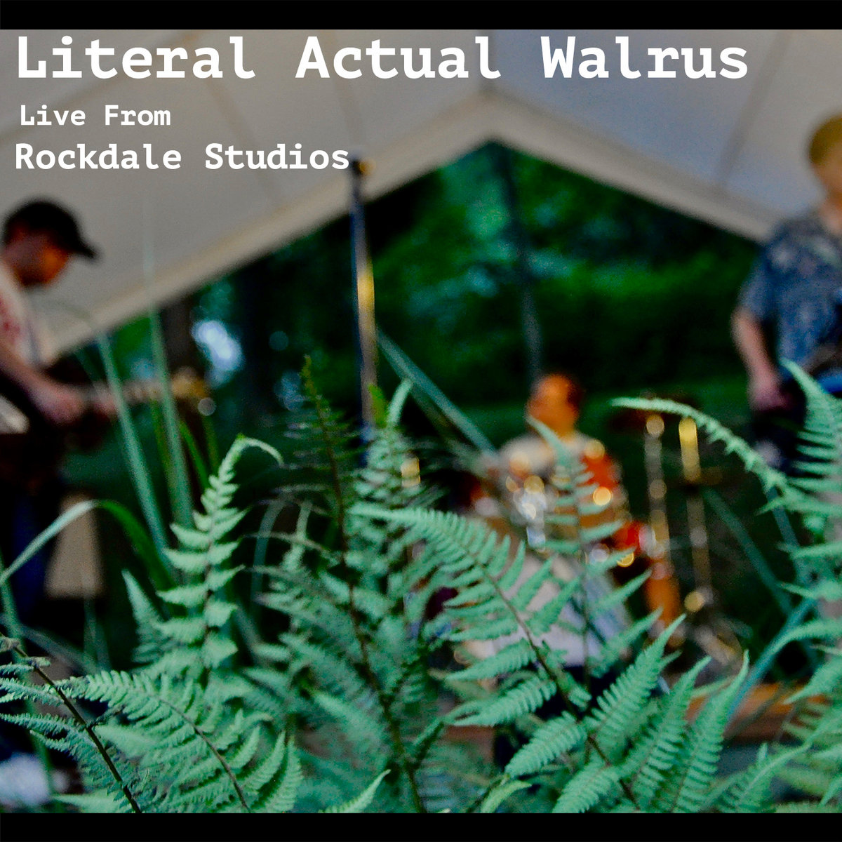 Live from Rockdale Studios | Literal Actual Walrus