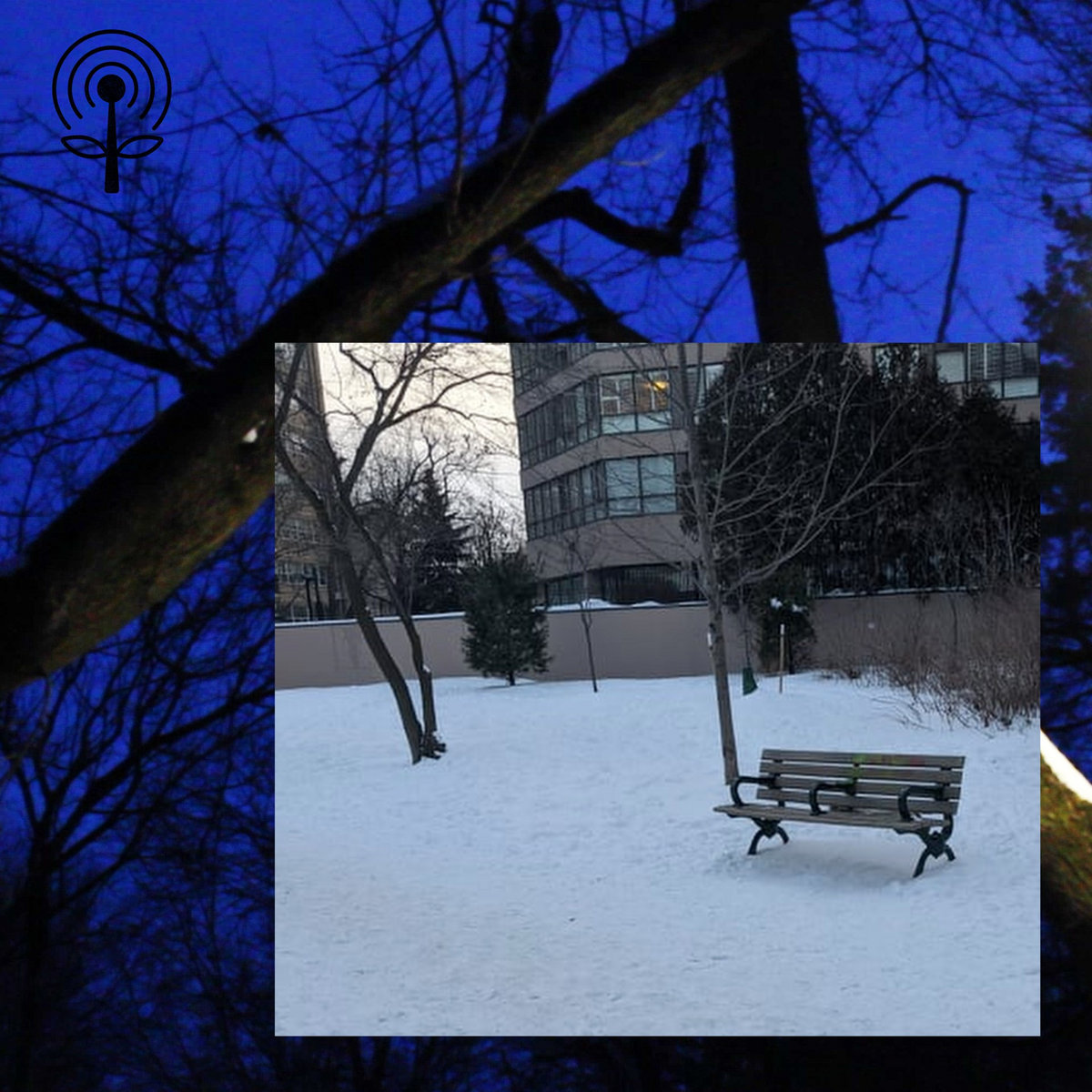 Another Winter Day | Owen Kurtz