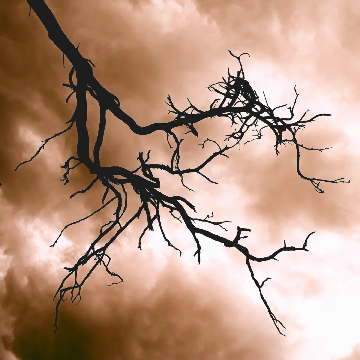 'Volume 3: The Great Bombardment' | Jon Free | Wild Animals Records