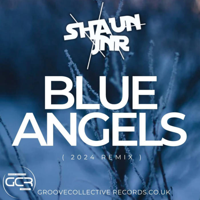 Shaun Jnr - Blue Angels (2024 Remix) | Shaun Jnr | Groove Collective ...
