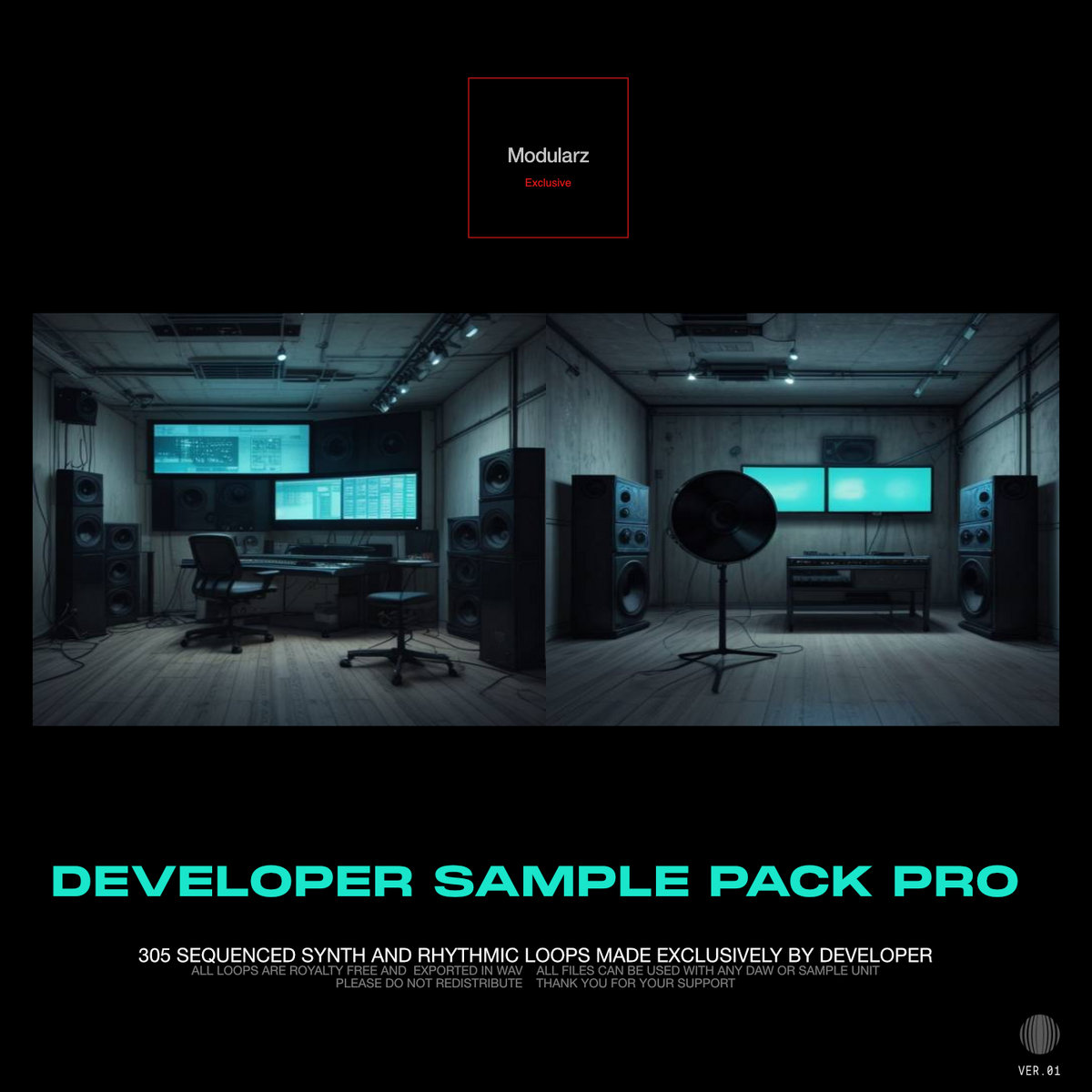 DEVELOPER SAMPLE PACK PRO 305 LOOPS | DEVELOPER | Modularz