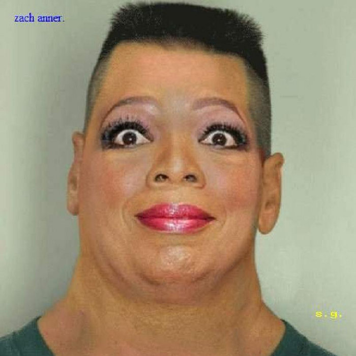 zach anner. | Strawberry Glass | Sierracaravanacarnavoraphex