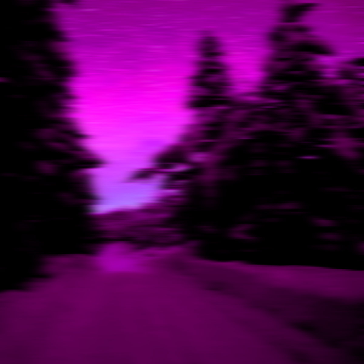 Razor Blades Taped To Flowers | A Bleeding Weeping Icarus Archive