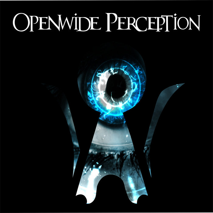 Openwide | Openwide Perception