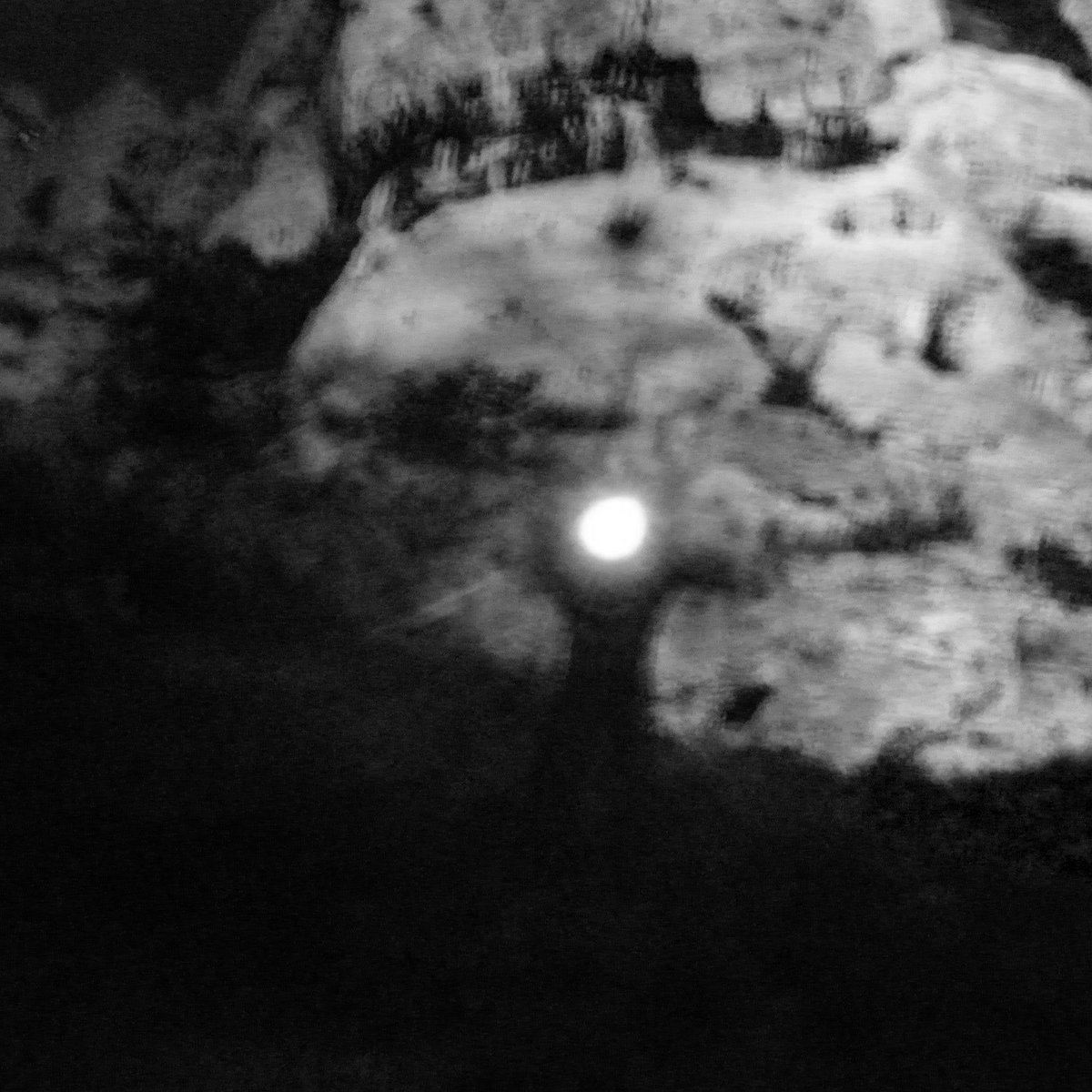 snowblind | swallowhead