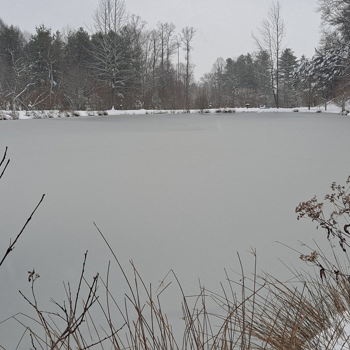 Idiot Heart Demo | Jonathan Tyson