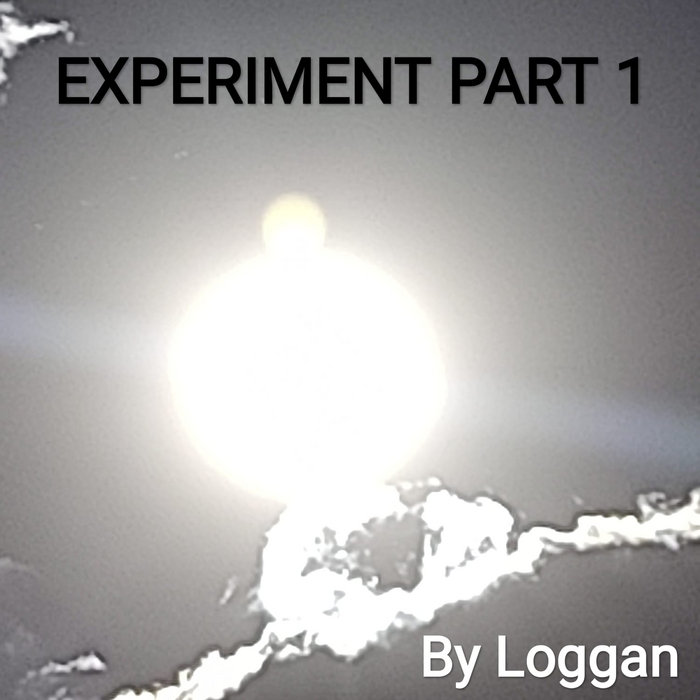 Experiment Part 1 | Loggan