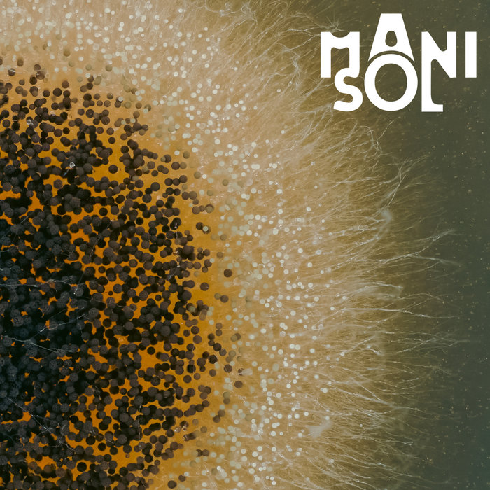 Mani | ManiSol