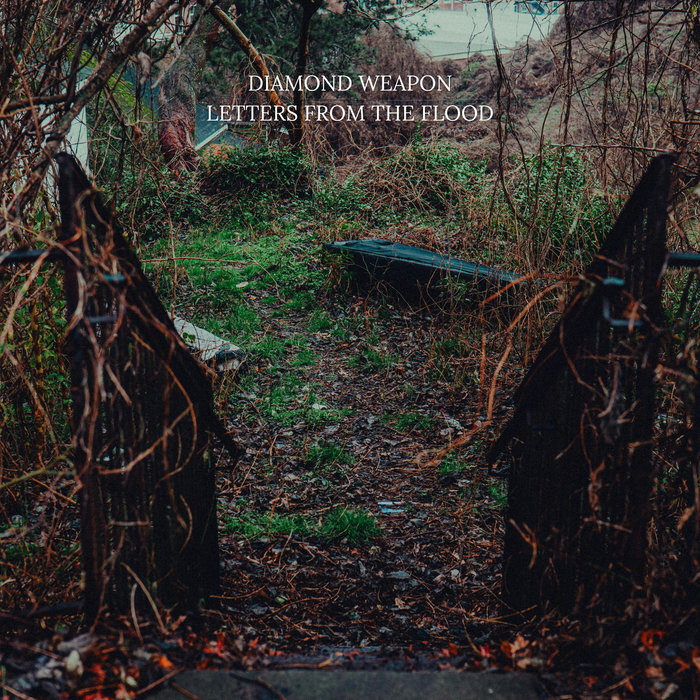 Letters from the Flood | Diamond Weapon