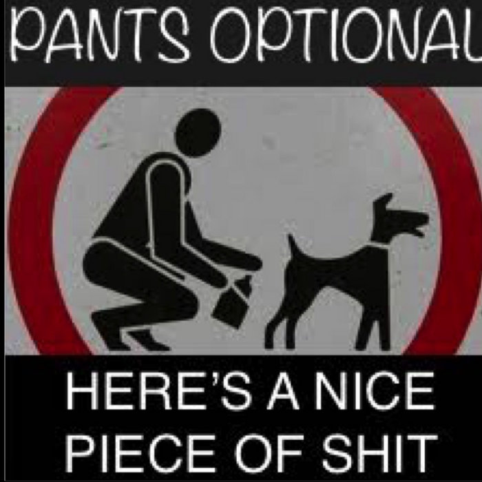 Here's a nice piece of shit-Demos | PANTS OPTIONAL