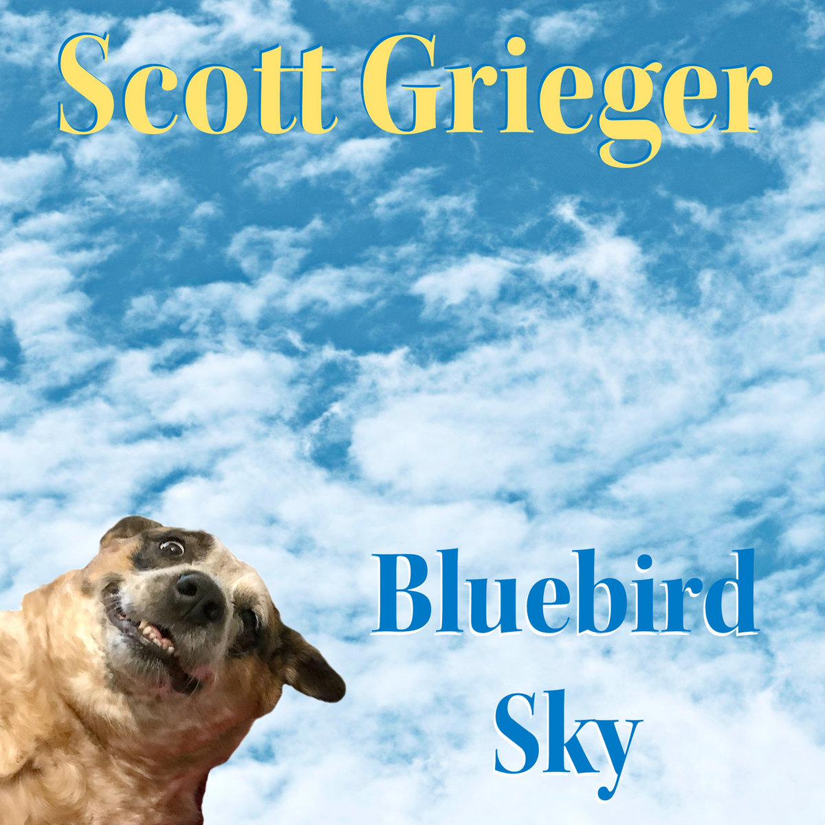 Bluebird Sky | Scott Grieger