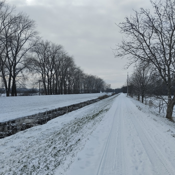 Winter Comming | Viki&Bob