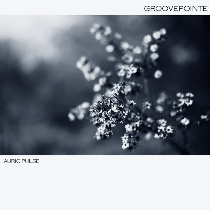 Auric Pulse | GroovePointe