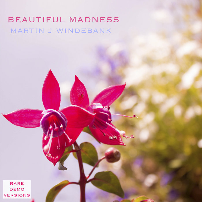 Beautiful Madness | Martin Windebank