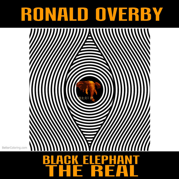 Black Elephant - The Real (Original Mix) | Ronald Overby /BLACK ELEPHANT