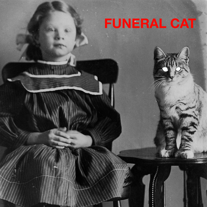 FUNERAL CAT | Funeral Cat