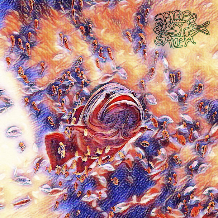 Sarpa Salpa | Sarpa Salpa