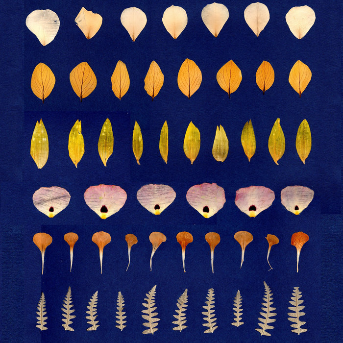 Cause | Andrew Victor