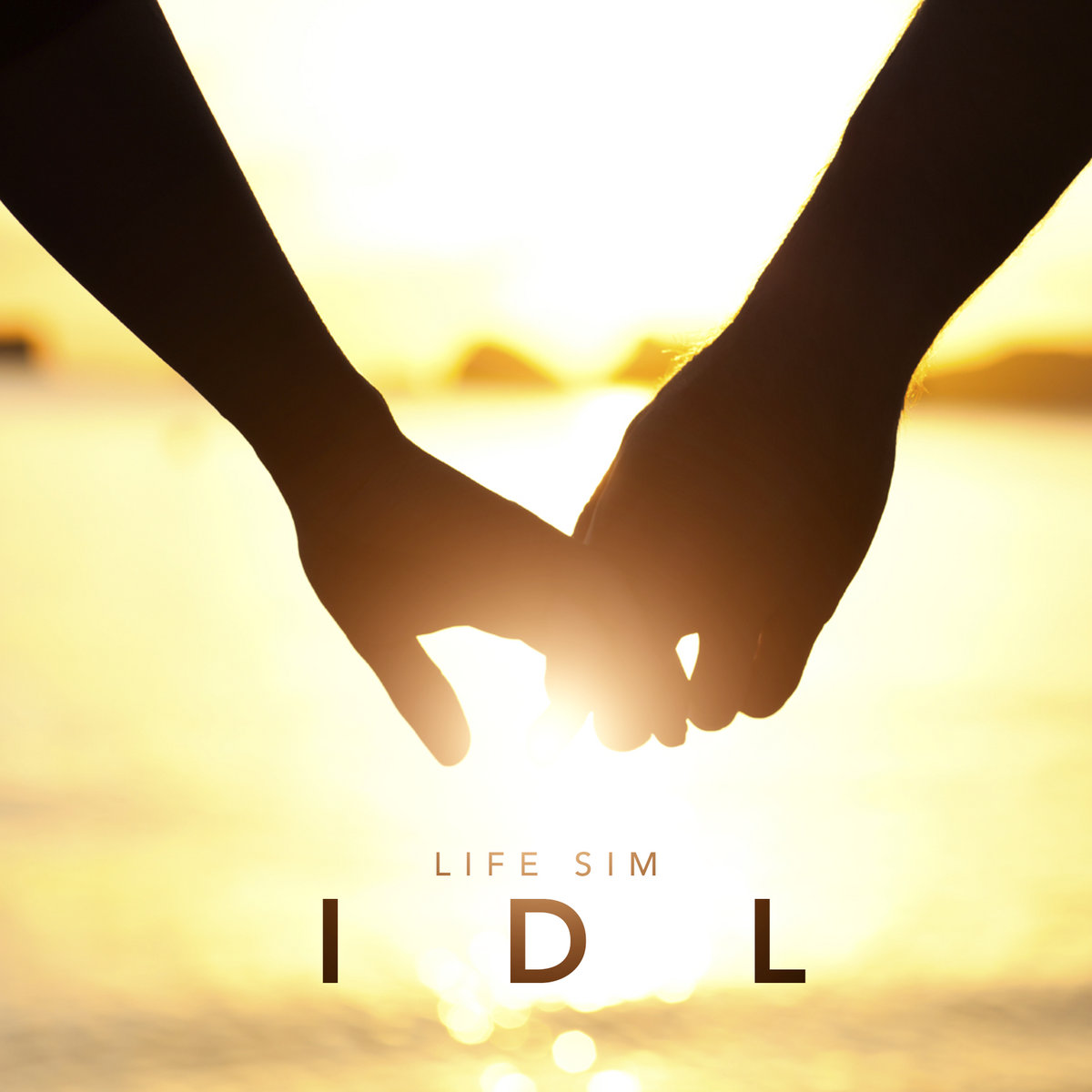 IDL | Life Sim