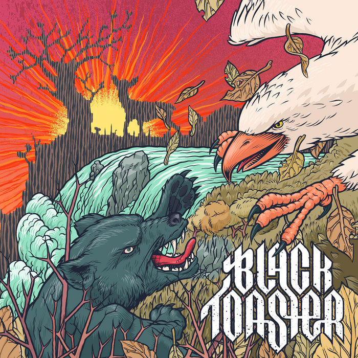 Animal | Black Toaster