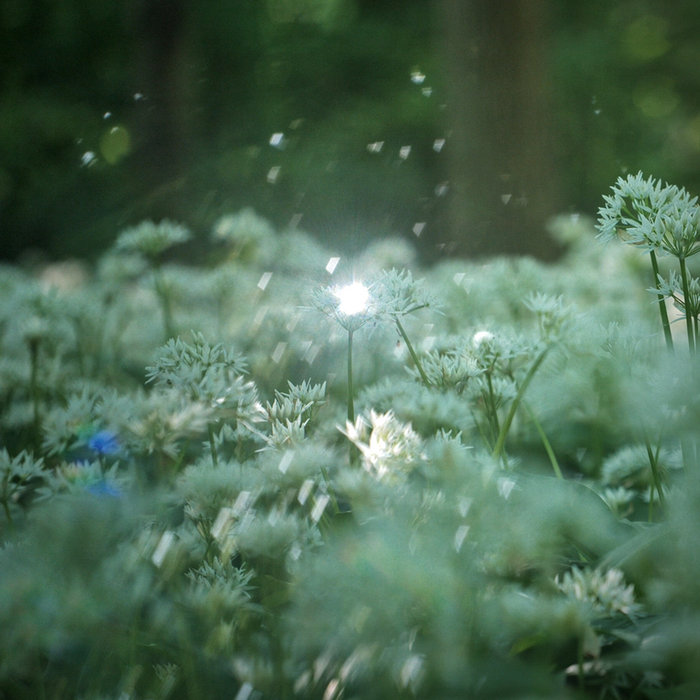 Sound Journal I | Azaleh