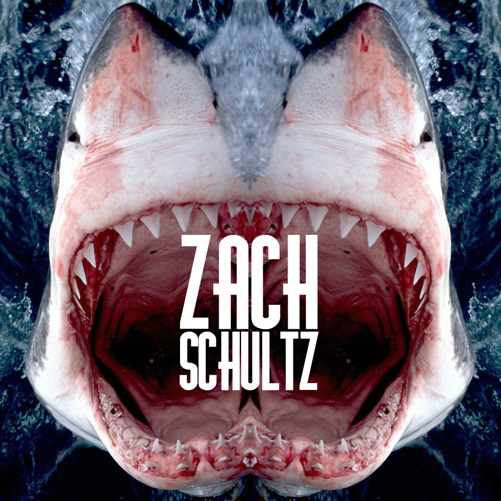 Portfolio | Zach Schultz