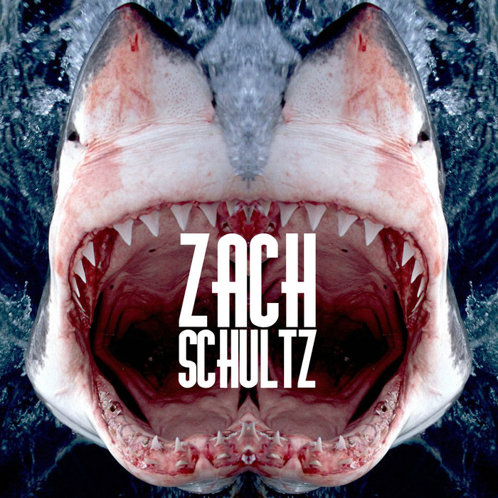 Portfolio | Zach Schultz