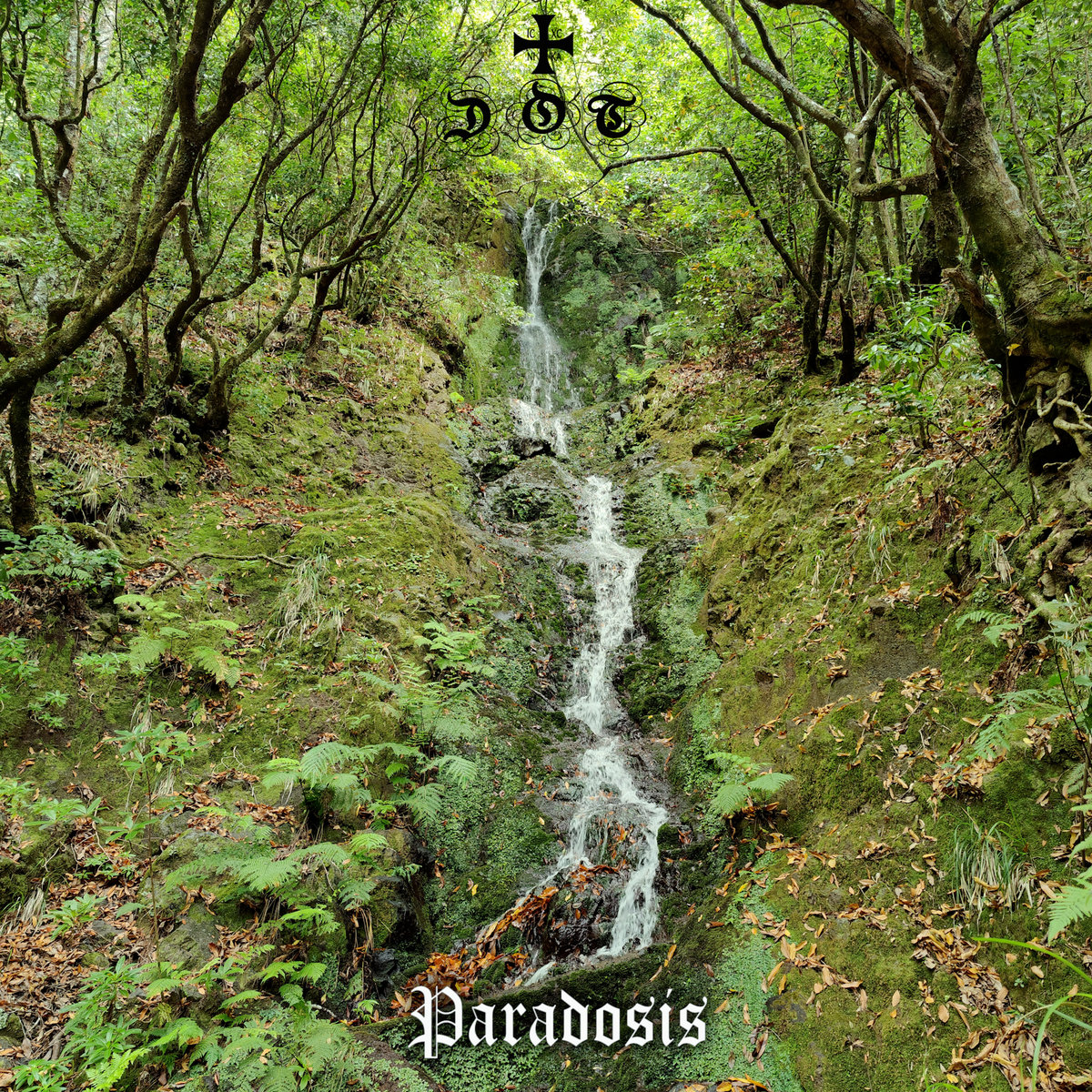 Paradosis | DOT Dominus