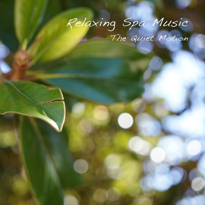 The Quiet Motion | Relaxing Spa Music