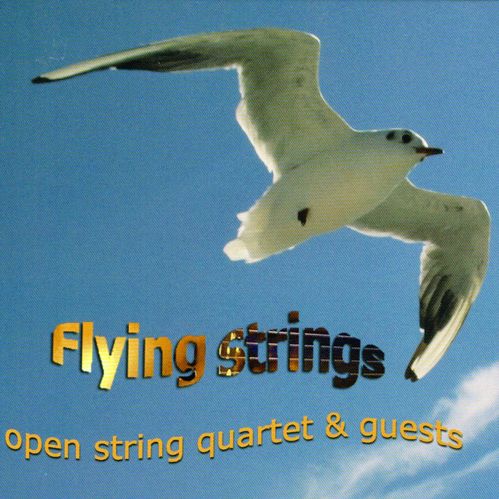 Flying Strings | open string quartet & guests | Willem Schulz