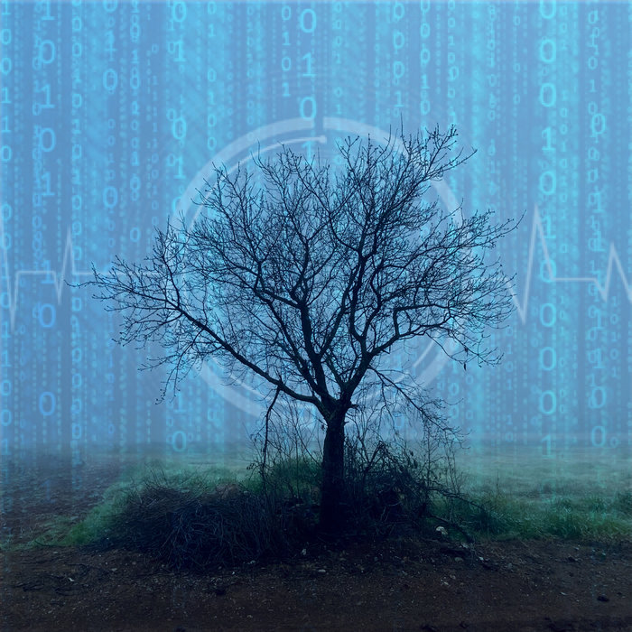 Guerra Inteligente (432 Hz) | Resplandor Armónico