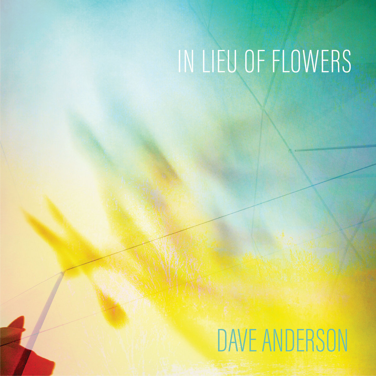 In Lieu of Flowers | Dave Anderson