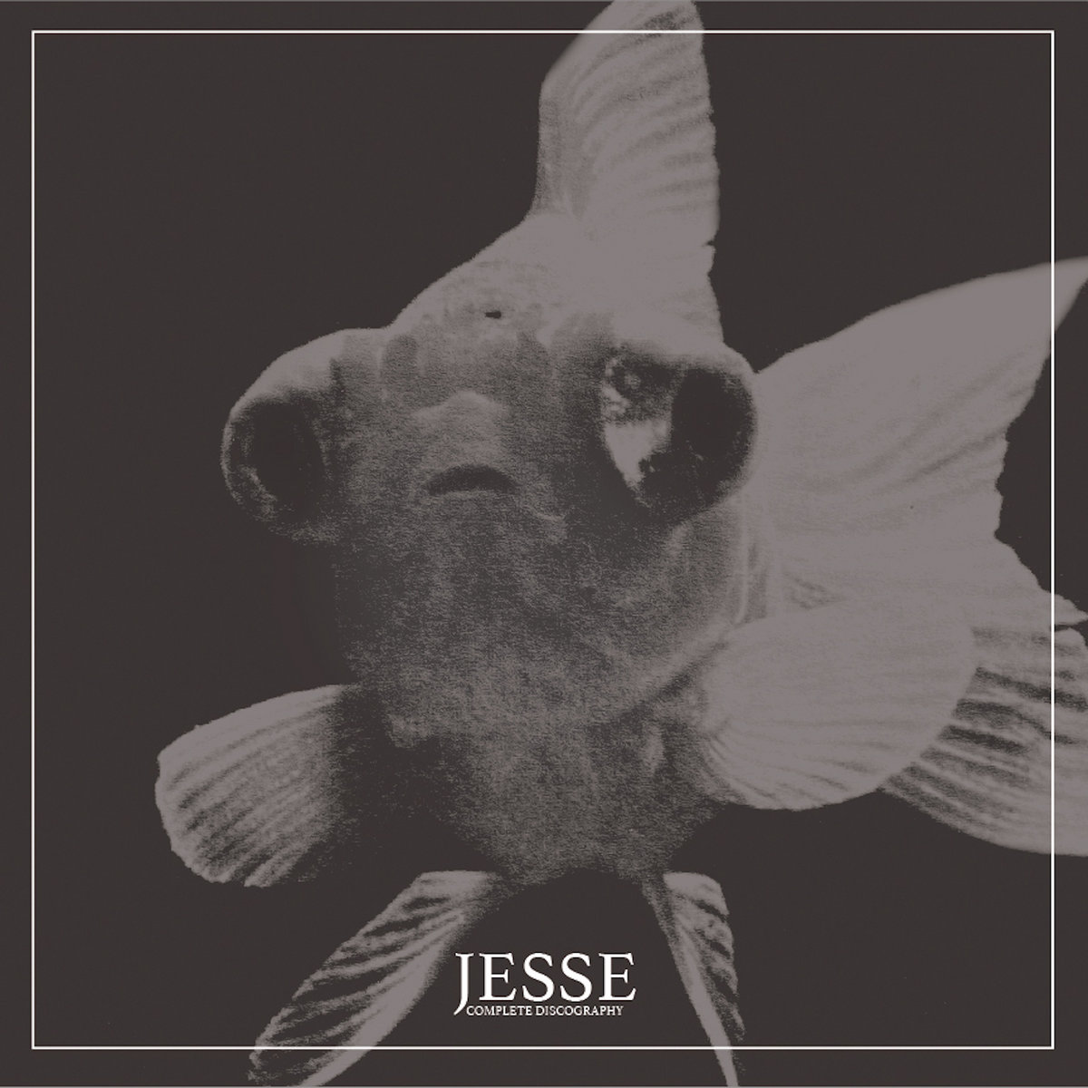 Jesse Complete Discography | Jesse