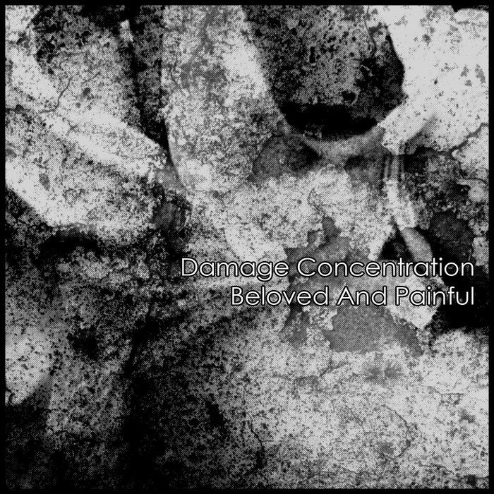 Beloved And Painful | Damage Concentration | Broken Hour