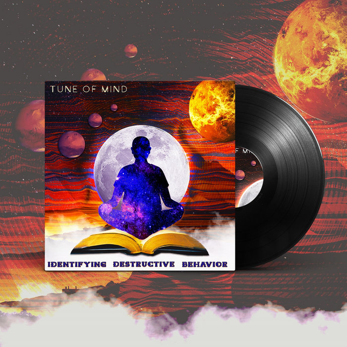 Identifying Destructive Behavior | Tune of Mind