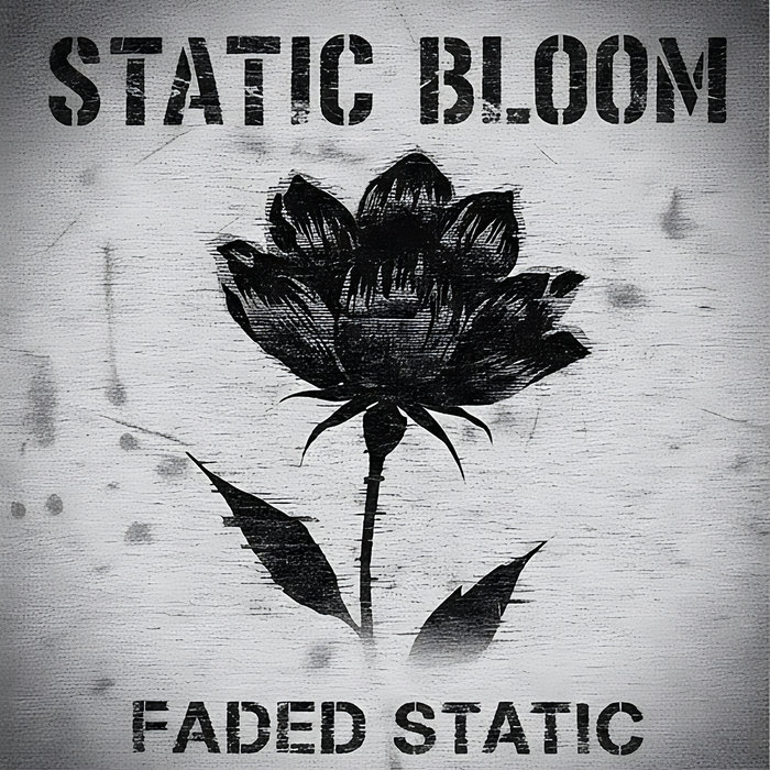 Faded Static | Static Bloom