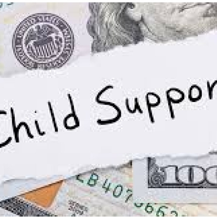 Florida Child Support Calculator | fjgjhg