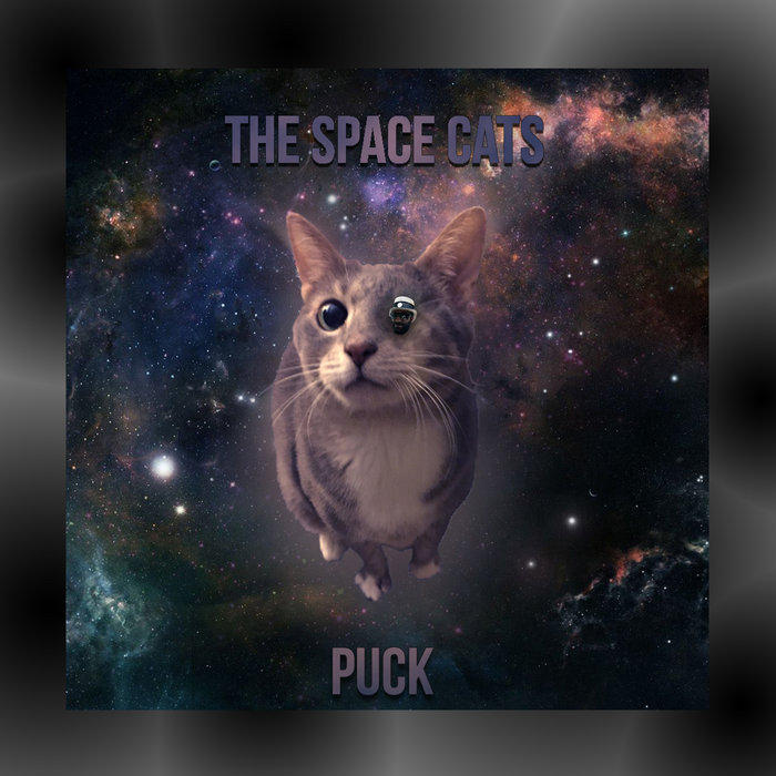 Puck | The Space Cats