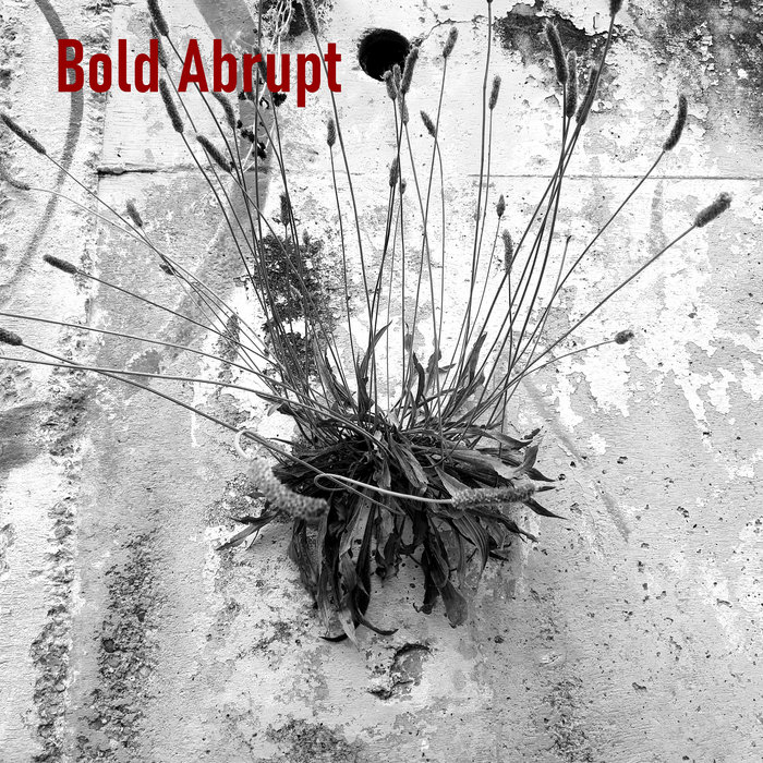 Bold Abrupt | Bold Abrupt