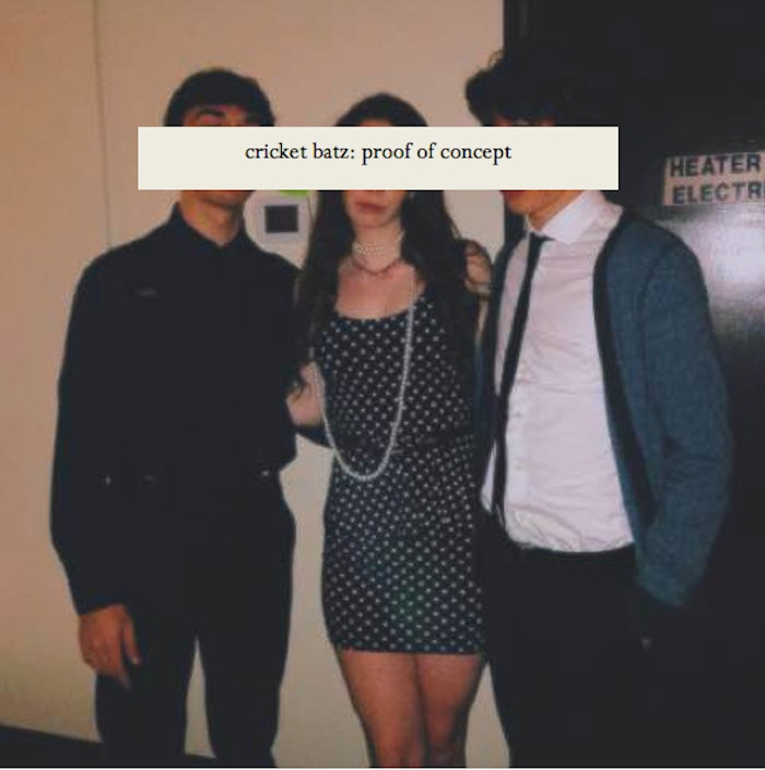 proof of concept | Cricket Batz