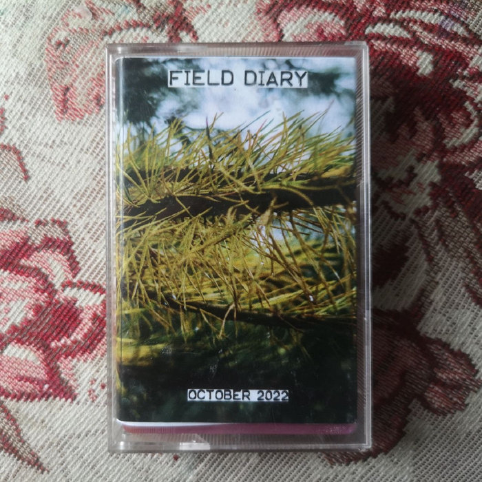 Field diary: October 2022 | various artists | brokentaperecords