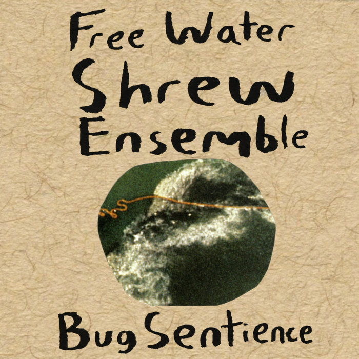 Bug Sentience | Free Water Shrew Ensemble | Water Shrews