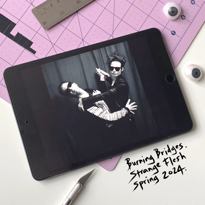 Burning Bridges | Strange Flesh