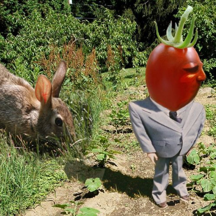 Just In Pictures (Some Say Tomato) | 88 Overload