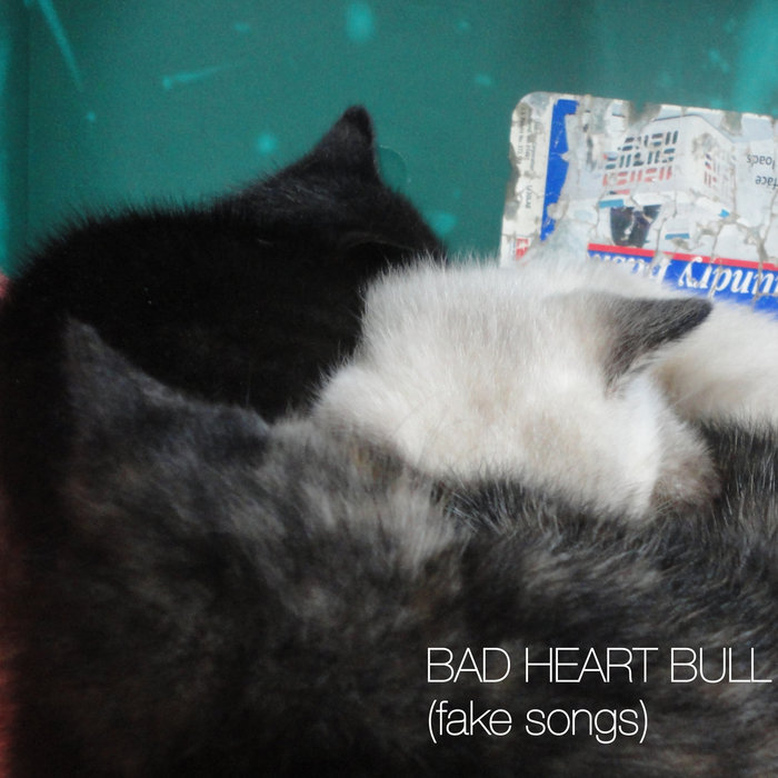 fake songs | Bad Heart Bull