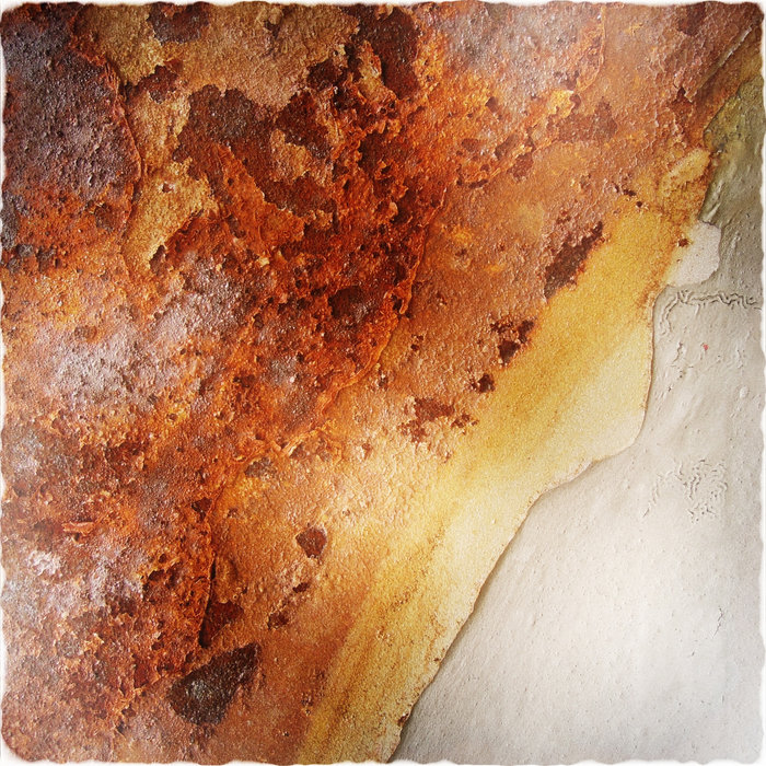 Beauty of Decay | My Wooden Buddha