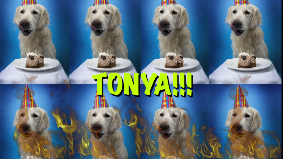 HAPPY BIRTHDAY TONYA! | Epic Happy Birthdays